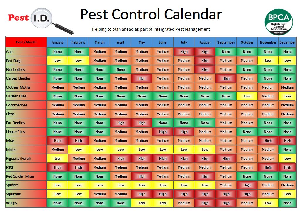 Pests in Spring, Summer, Autumn & Winter | Seasonal Pest Control